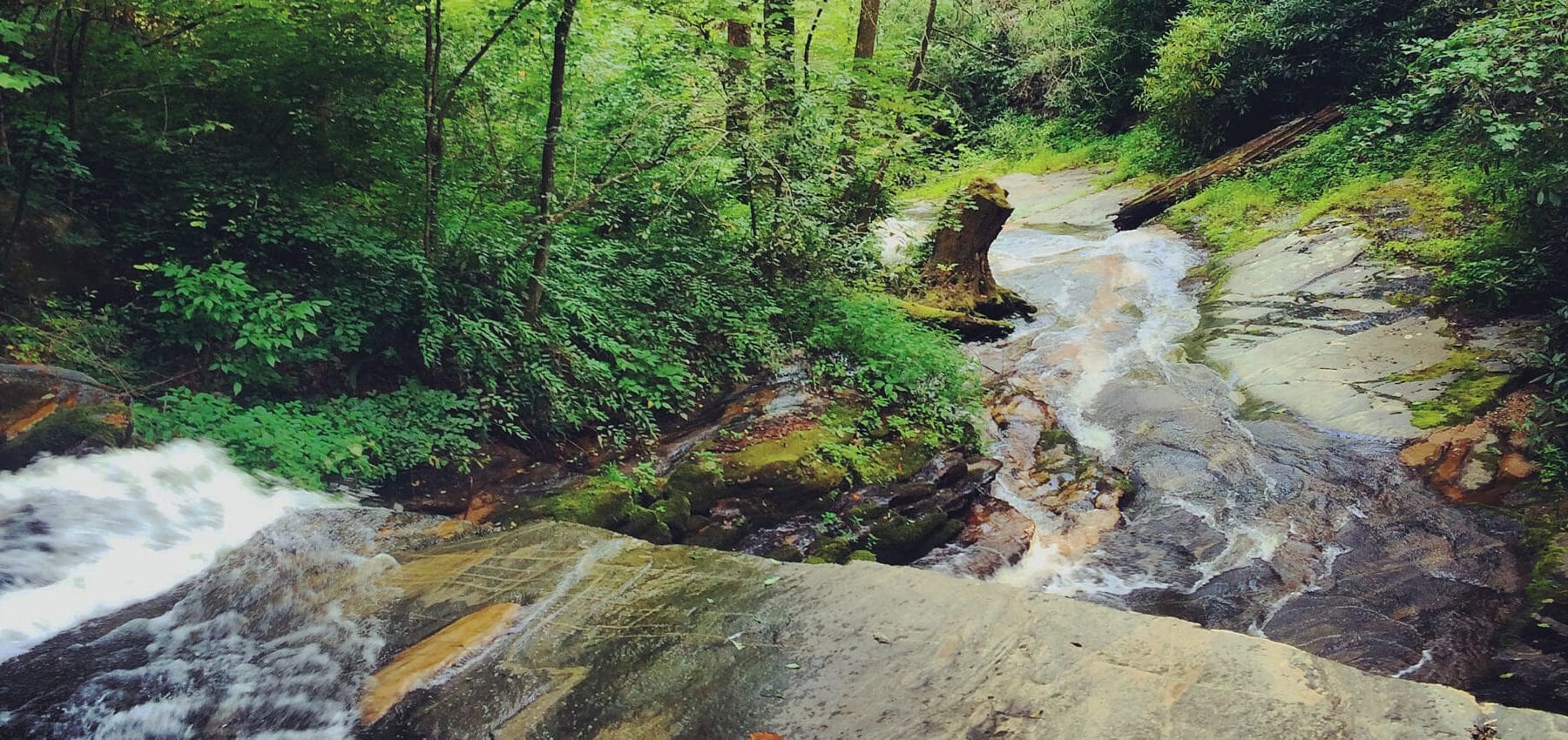 Conservation Easement FAQs | Conserving Carolina