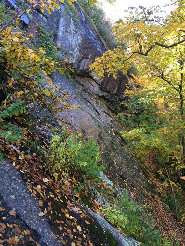 Dramatic Little Bearwallow Mountain - Conserving Carolina Hiking