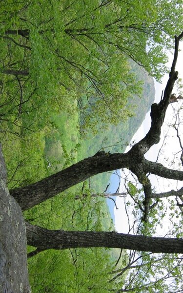 Florence Nature Preserve - Conserving Carolina