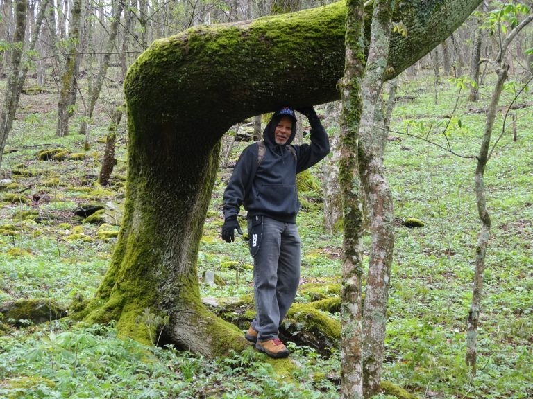 Get Outside: Parks, Preserves, Trails, and Greenways | Conserving Carolina