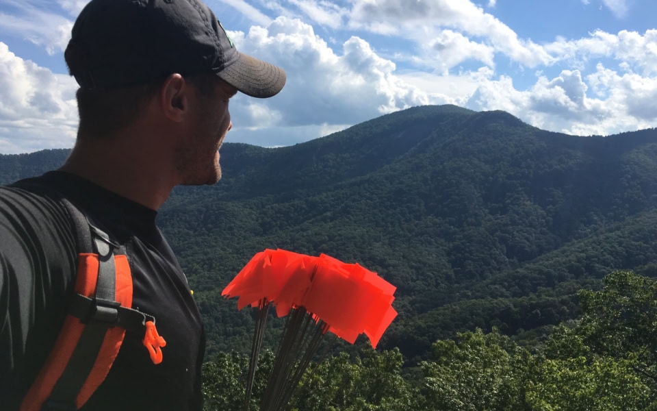Weed Patch Mountain Trail Info and Map