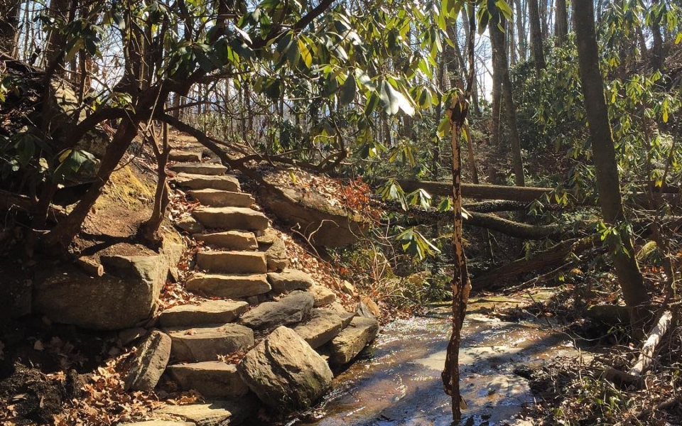 Weed Patch Mountain Trail Info and Map