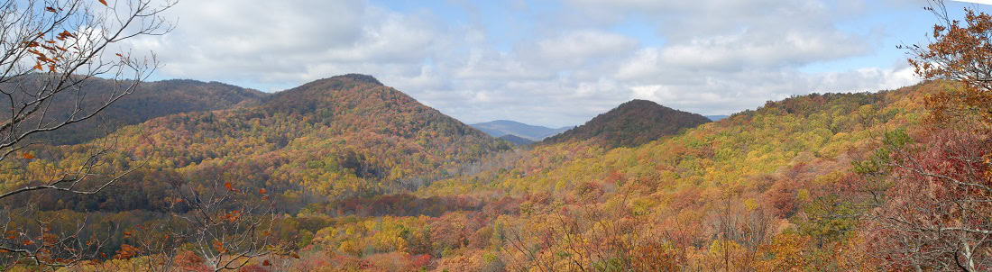 Florence Nature Preserve - Conserving Carolina