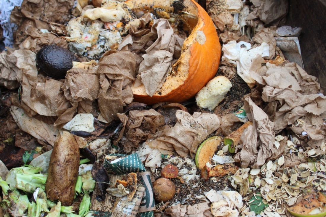 Habitat at Home: Garbage to Garden - Conserving Carolina