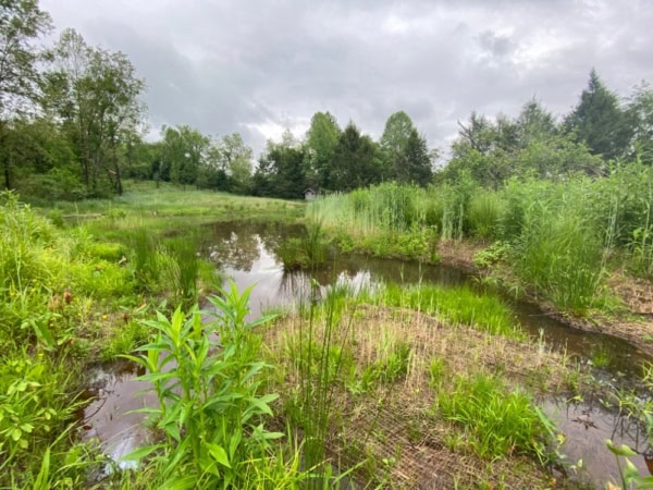 Conservation Burial at Carolina Memorial Sanctuary - Conserving Carolina