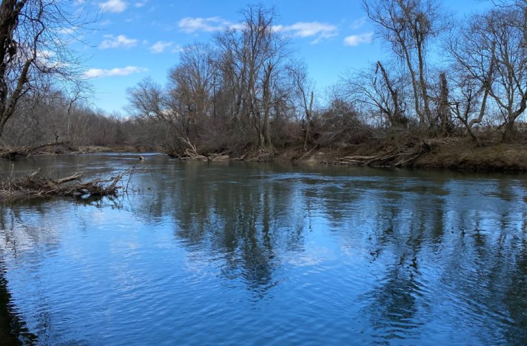 Great News on Floodplain Restorations - Conserving Carolina
