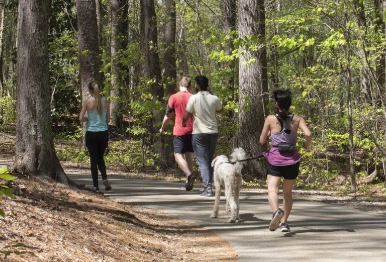 Upcoming Events – Conserving Carolina