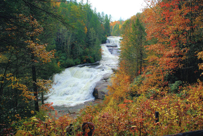 DuPont's roots in conservation- Conserving Carolina