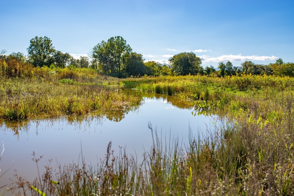 Restoring the French Broad River: A Story Map - Conserving Carolina