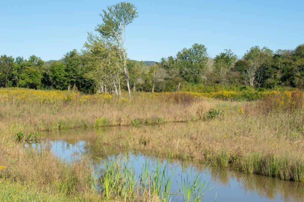 Conservation Lending - Conserving Carolina