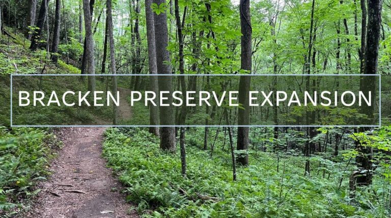 Help the City of Brevard Plant Chestnut Seedlings in Bracken Preserve ...