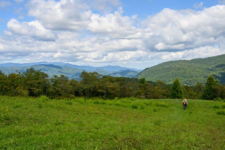 Strawberry Gap Trail: A Tradition of Welcome - Conserving Carolina