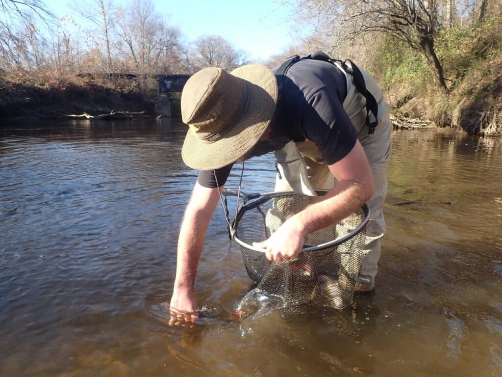 Fish Species Making a Return to the Upper French Broad - Conserving ...
