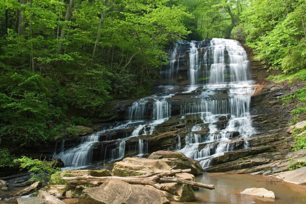 Forest Near Pearson's Falls Protected - Conserving Carolina