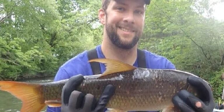 FBR Series Part 3: LEARN! Invertebrates of the French Broad River ...