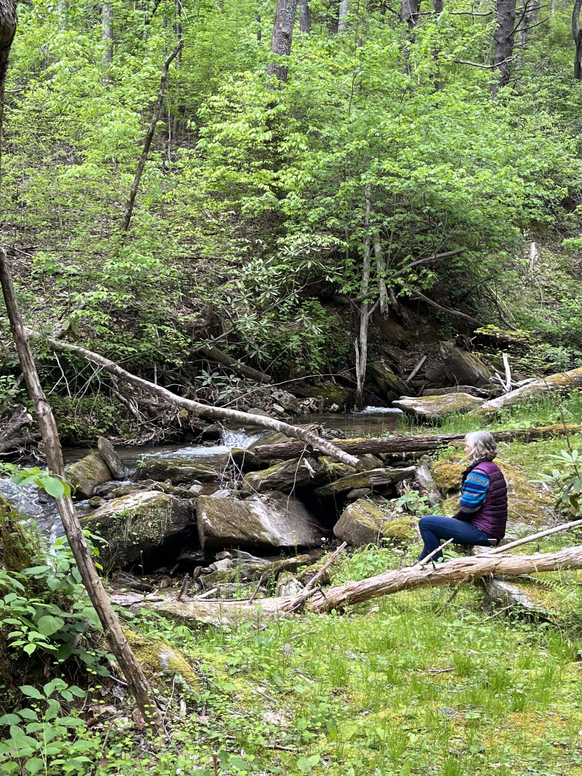 Forest Bathing: Nature and Forest Therapy - Conserving Carolina