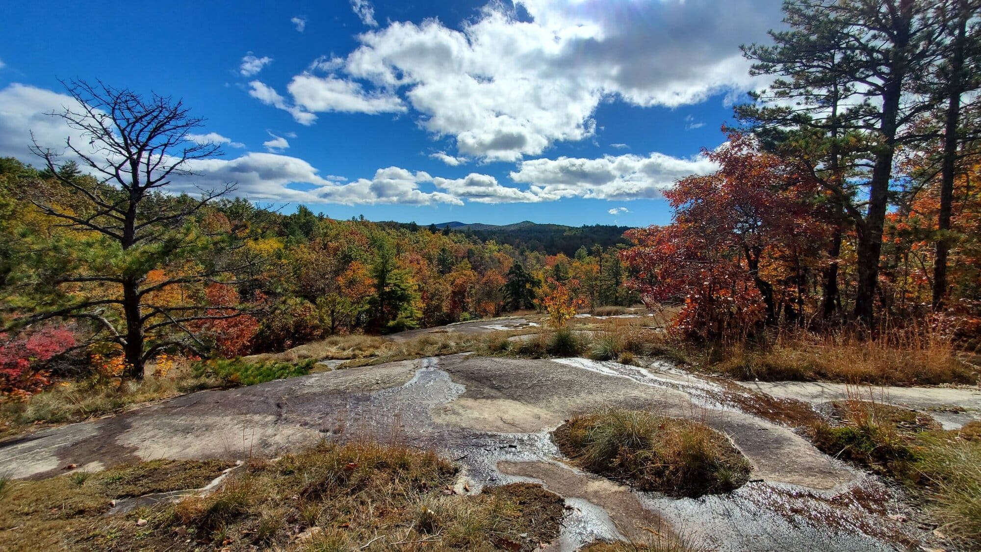 DuPont Loop: Quarry and Rocky Bald - Conserving Carolina