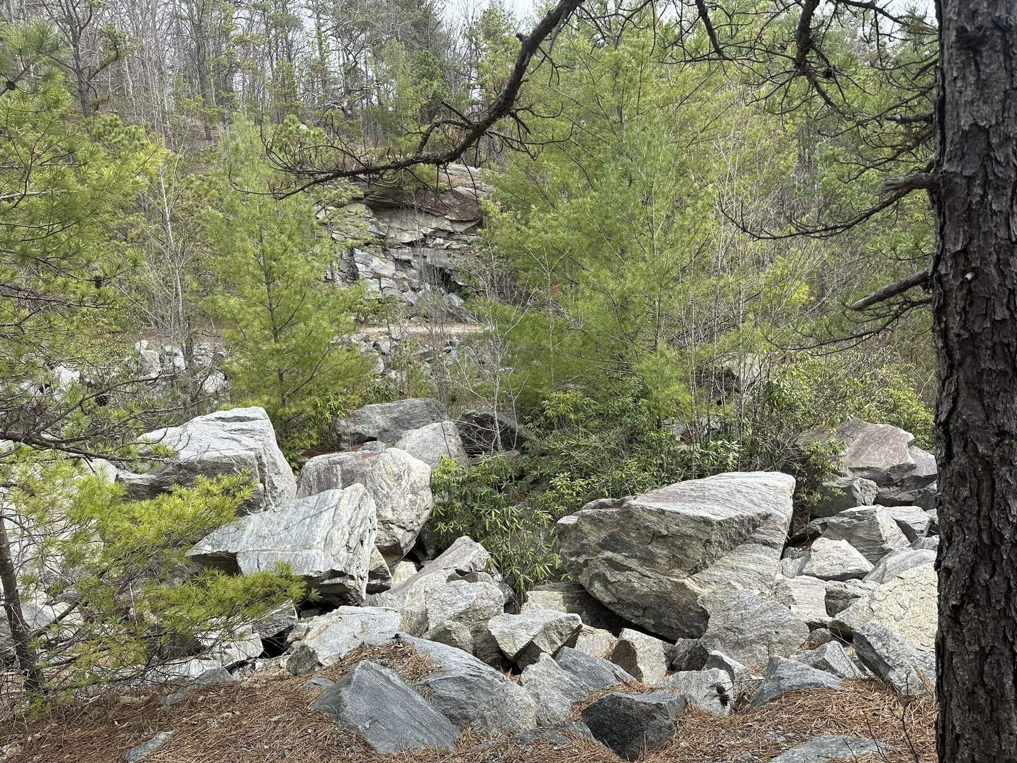 DuPont Loop: Quarry and Rocky Bald - Conserving Carolina