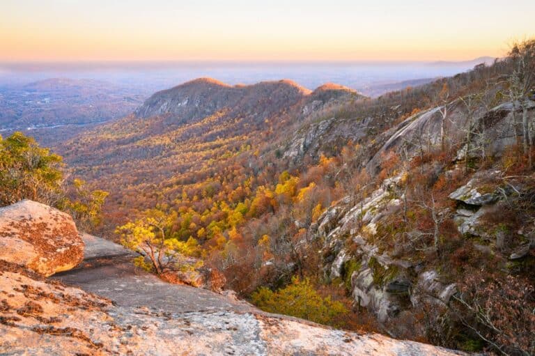 Weed Patch Mountain Trail Info and Map