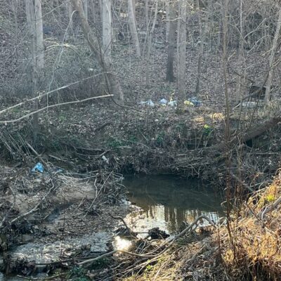 Volunteer Workday: King Creek Stream Cleanup and Streambank Management ...