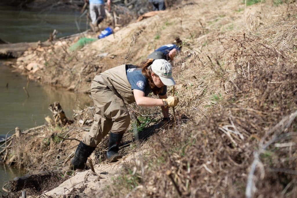 Now is the Time to Establish Streamside Vegetation - Conserving Carolina
