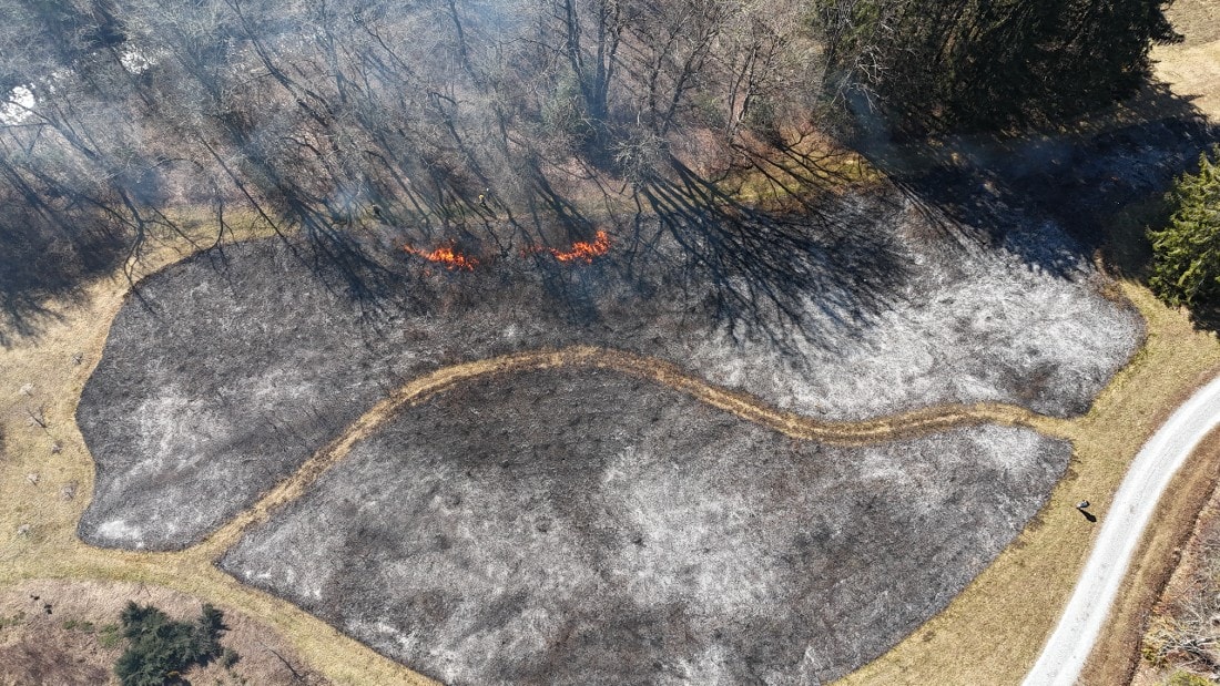 Burning the Meadow: Controlled Burn Info for NC Landowners - Conserving ...