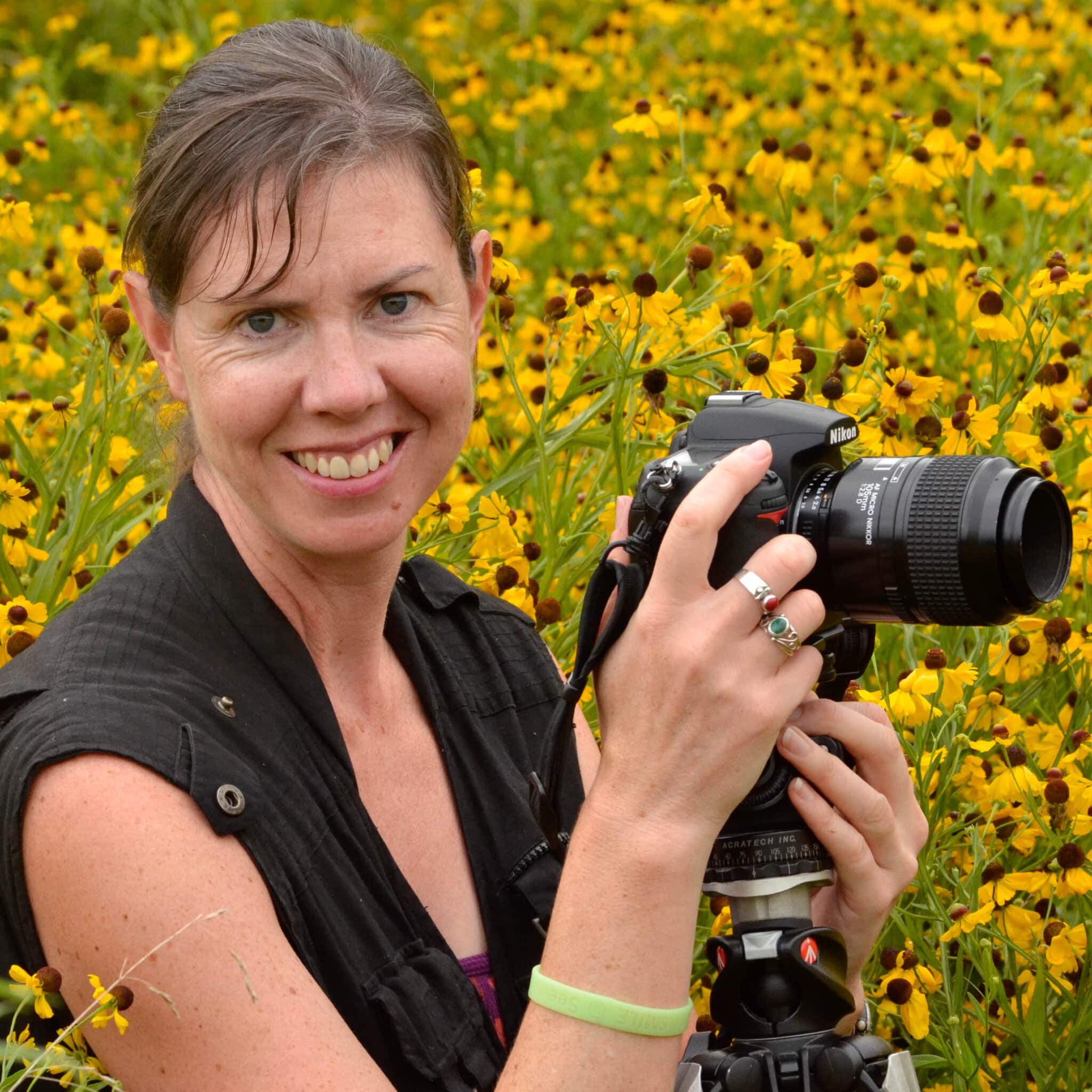 Brevard Speaker Series: Masters of the Night - Bats - Conserving Carolina