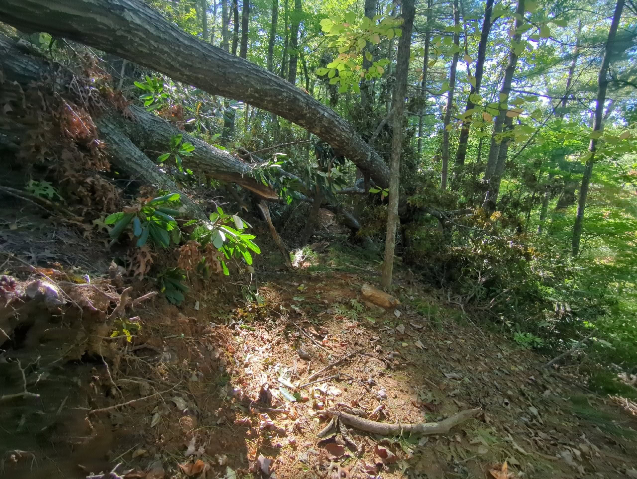Hurricane Helene Update: Trail Damage, Volunteer Needs, and Restoration ...