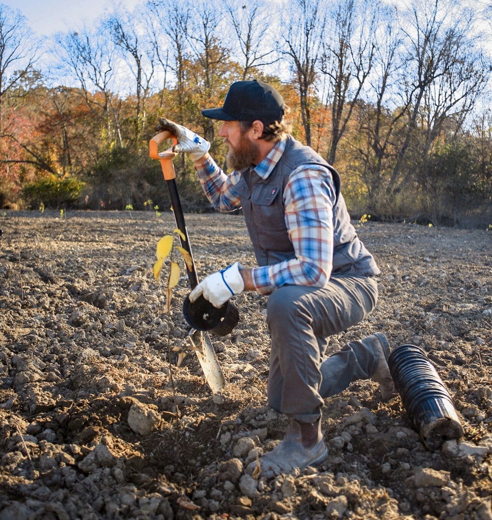 Kings Bridge: Already Full of Life! - Conserving Carolina
