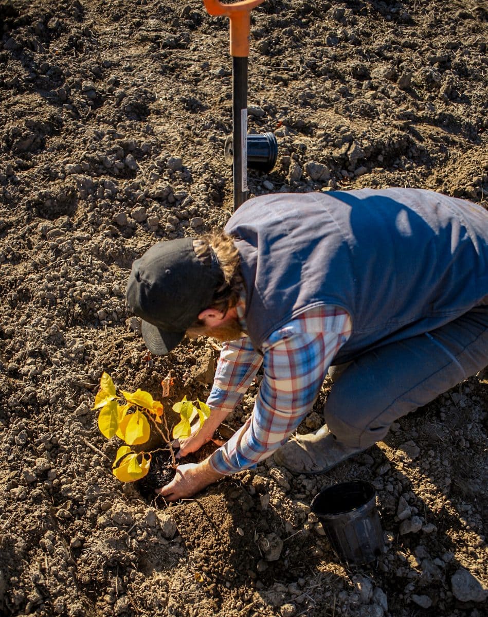 Top 10 Conservation Stories from 2024 - Conserving Carolina