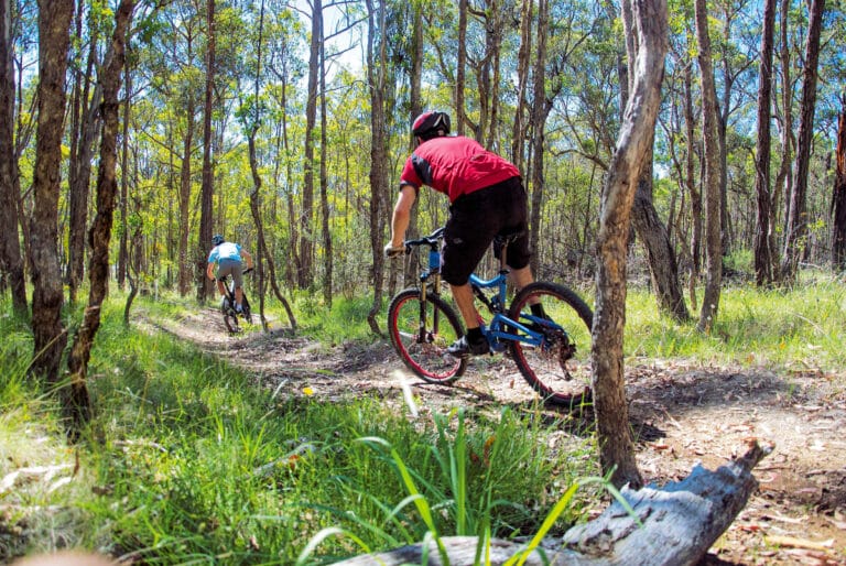 2025 Conservation Celebration - Conserving Carolina