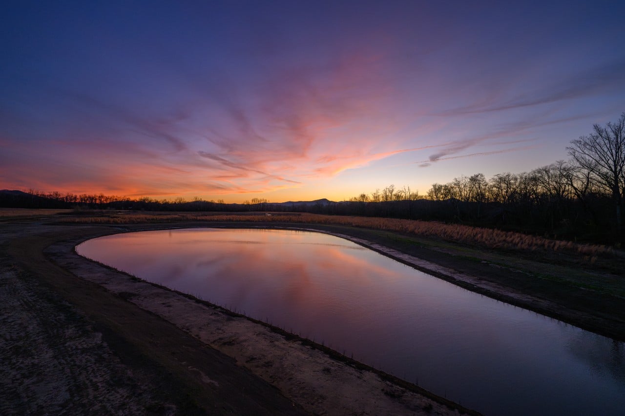 Kings Bridge Restoration Opens to the Public - Conserving Carolina