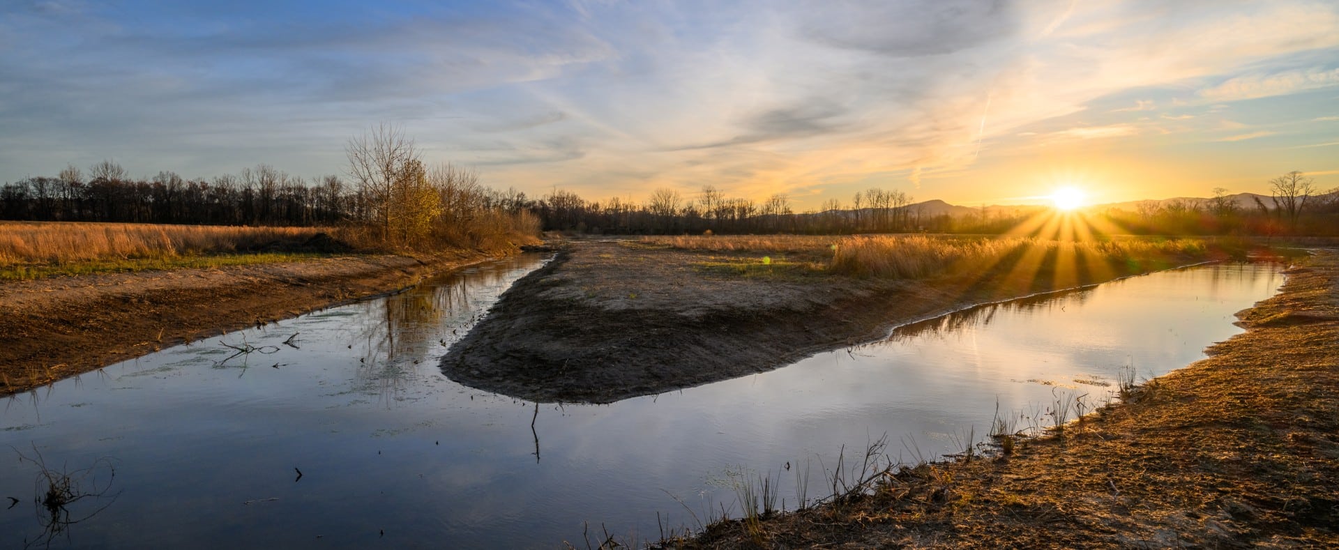 Kings Bridge Wildlife Conservation Area - Conserving Carolina
