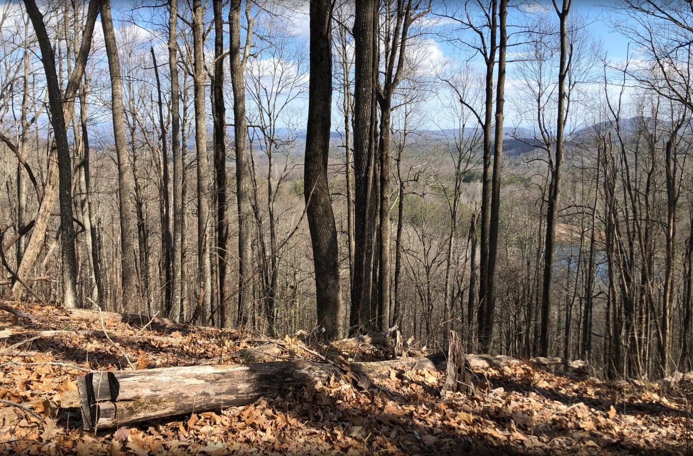 DuPont: Mine Mountain, Corn Mill Shoals, and Laurel Ridge Loop ...
